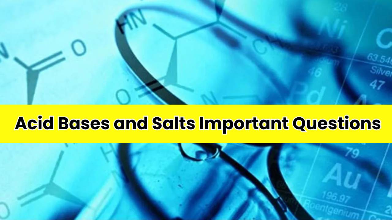 Acid Bases and Salts Important Questions 2024