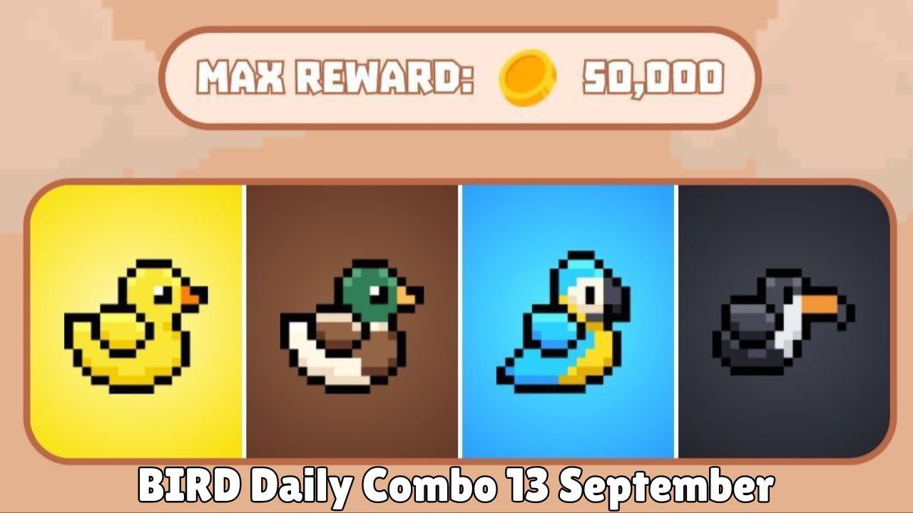 Don't Miss Today BIRD Daily Combo 13 September