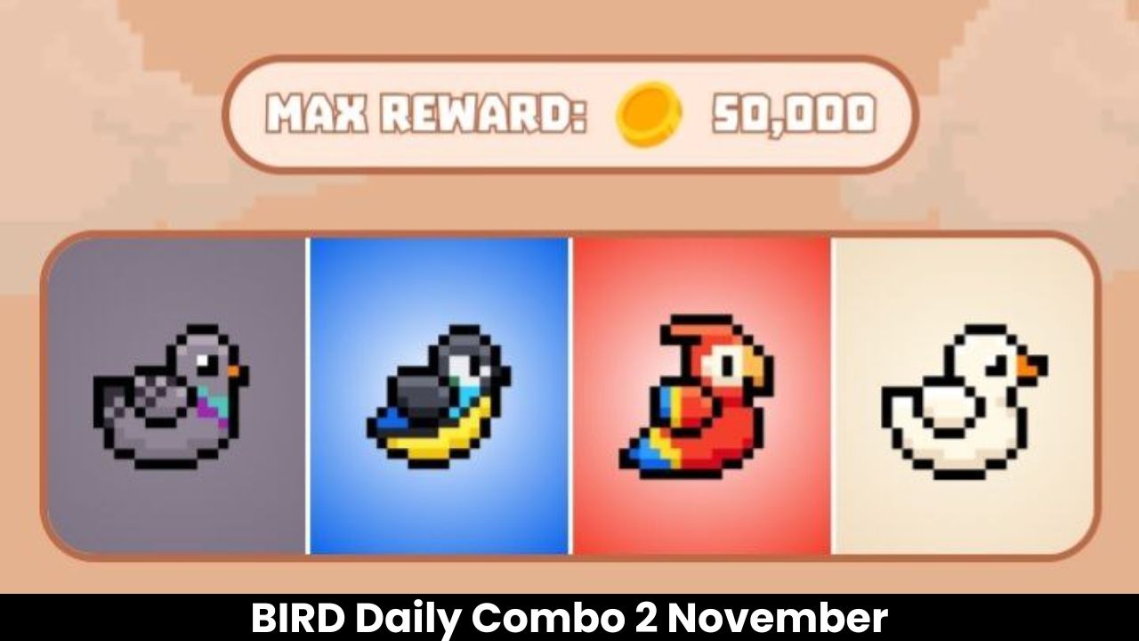 Don't Miss Today BIRD Daily Combo 2 November