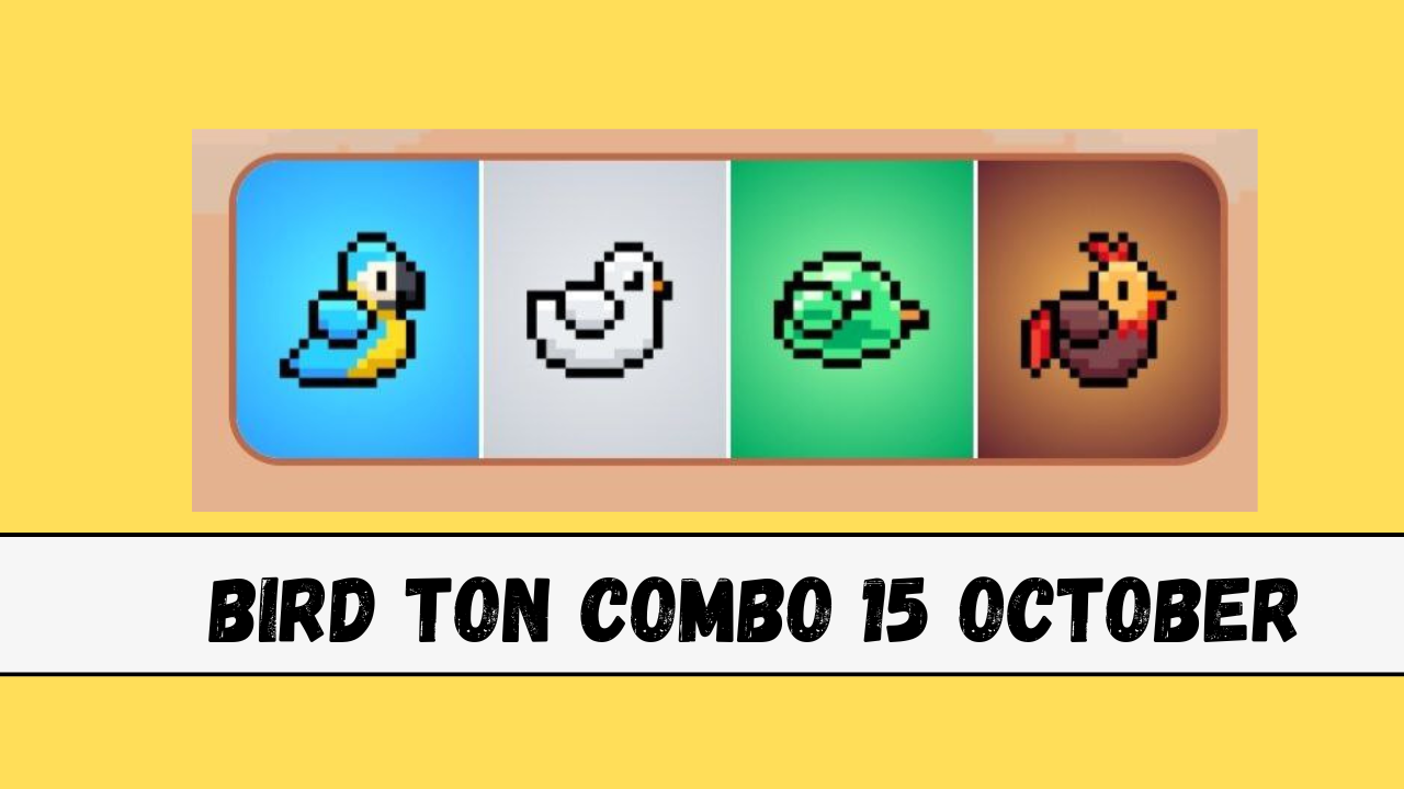 Don't Miss Today BIRD Daily Combo