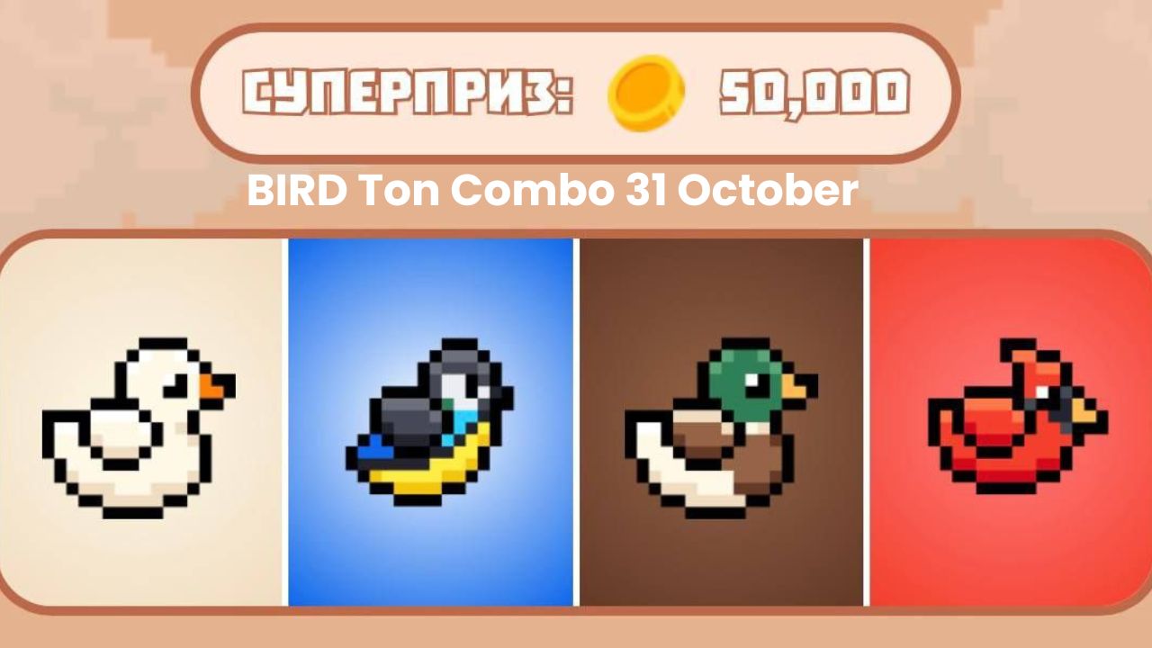 Don't Miss Today BIRD Daily Combo