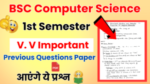 BSC 1st Semester Computer Science Previous Question Papers