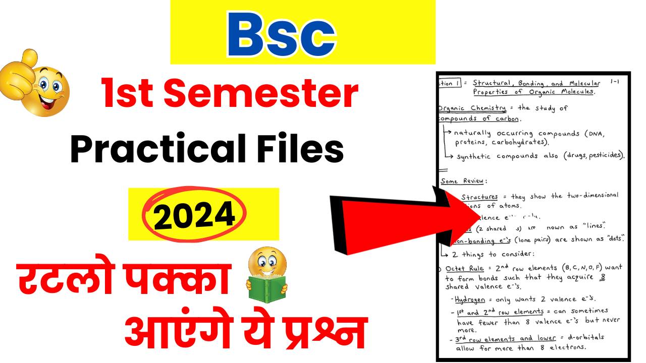 Bsc 1st Semester Practical Files: Physics, Chemistry, Zoology, Botany ...