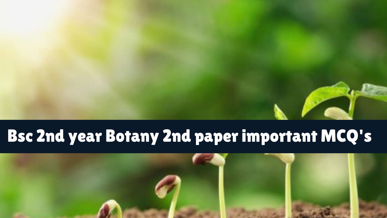 Bsc 2nd Year Botany 2nd Paper Important Questions 2025
