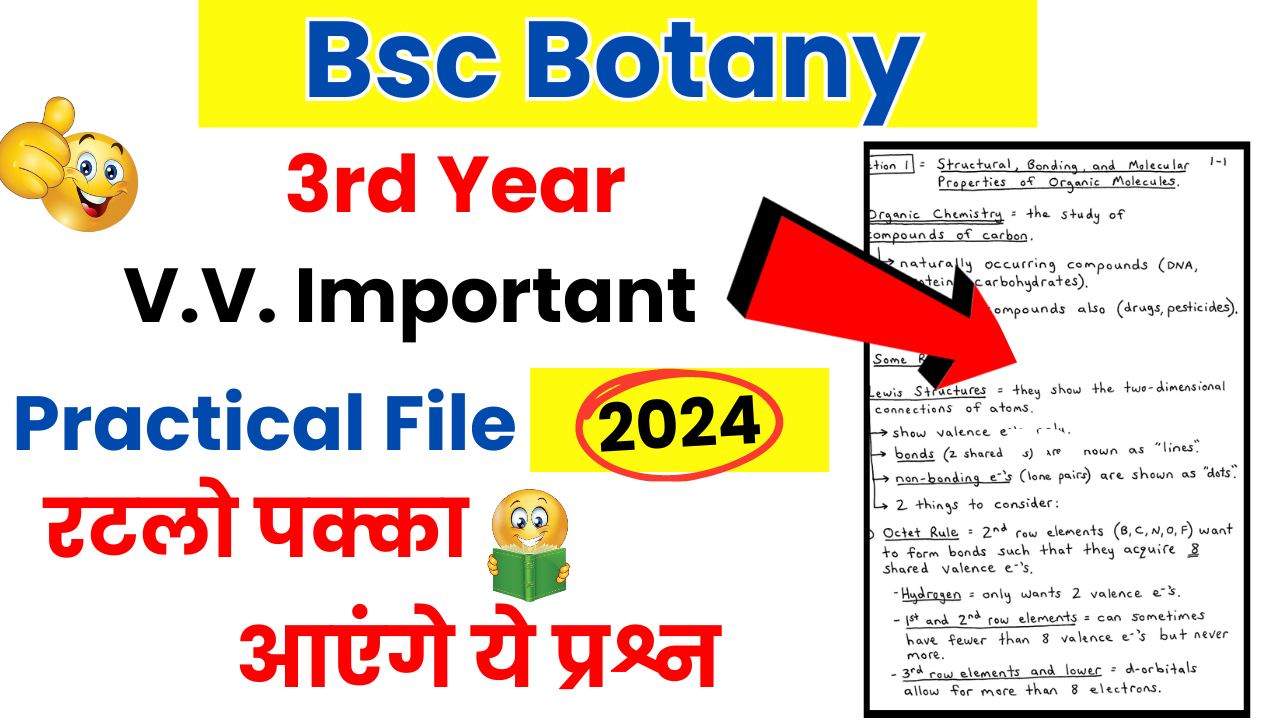 Bsc 3rd Year Practical Files: Physics, Chemistry, Zoology, Botany