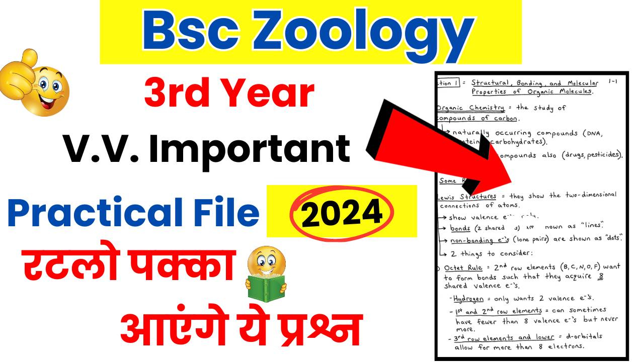 Bsc 3rd Year Practical Files: Physics, Chemistry, Zoology, Botany