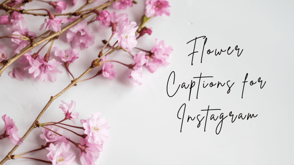 150+ Flower Captions for Instagram: Best Blossom