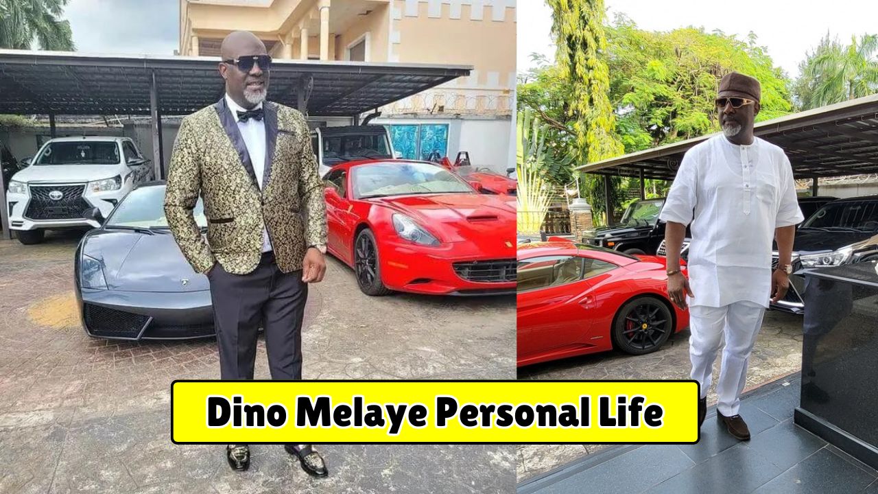 Dino Melaye Biography