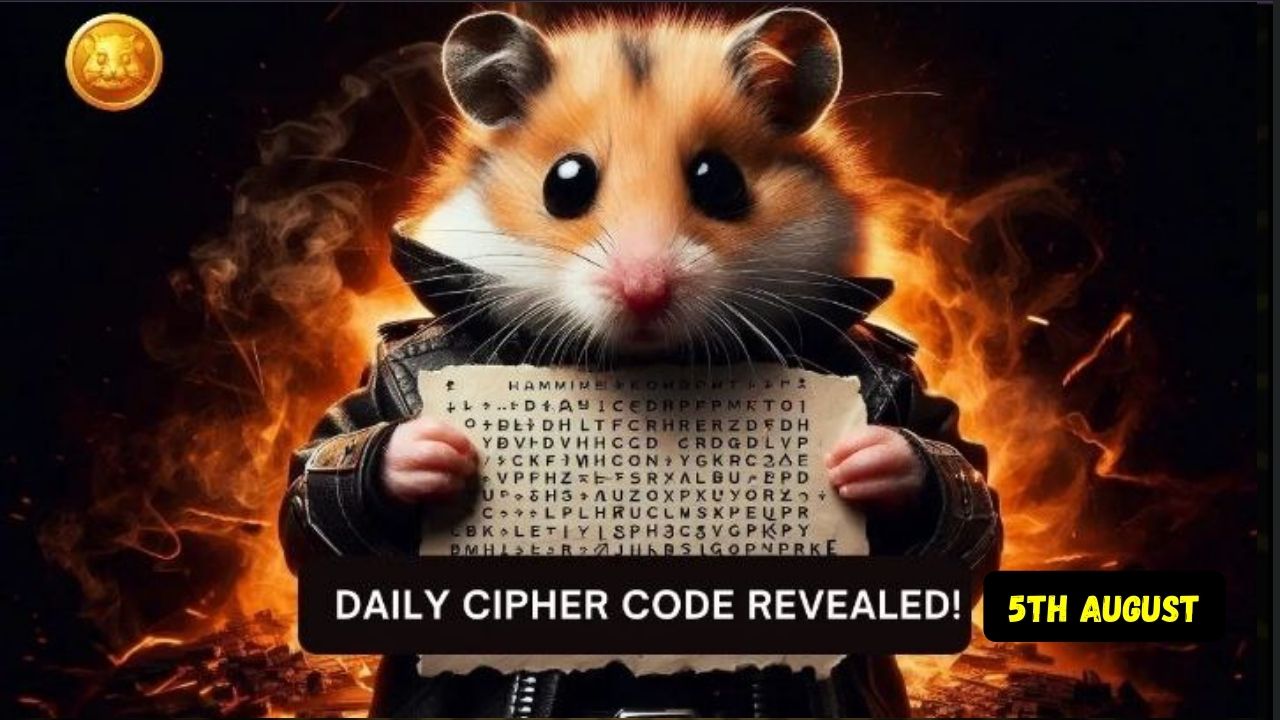 Don’t Miss Daily Hamster Kombat Cipher Morse Code August 5, 2024!
