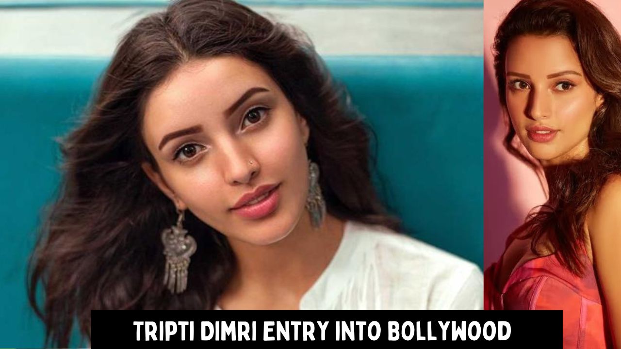 Indian Actress Tripti Dimri Biography