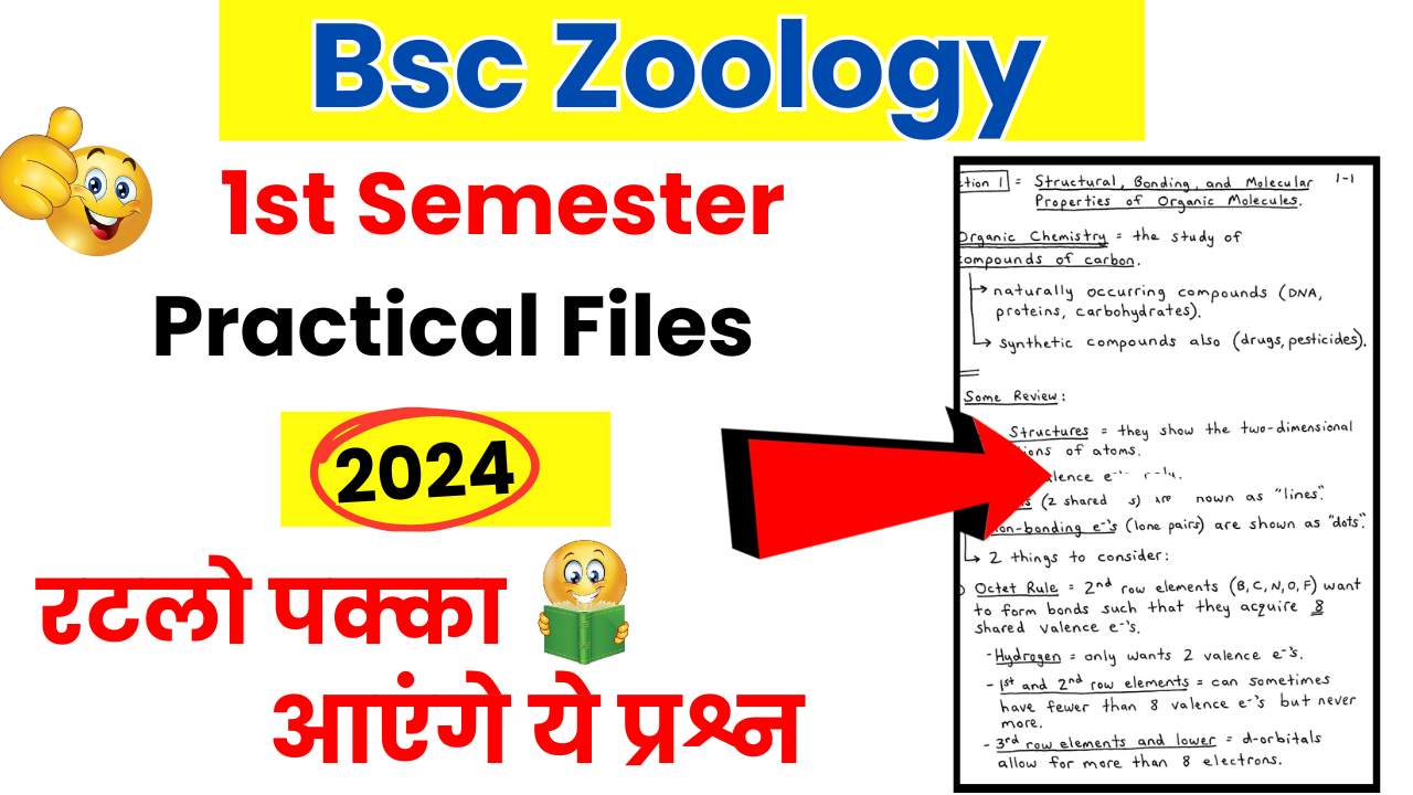 Bsc 1st Semester Practical Files: Physics, Chemistry, Zoology, Botany ...