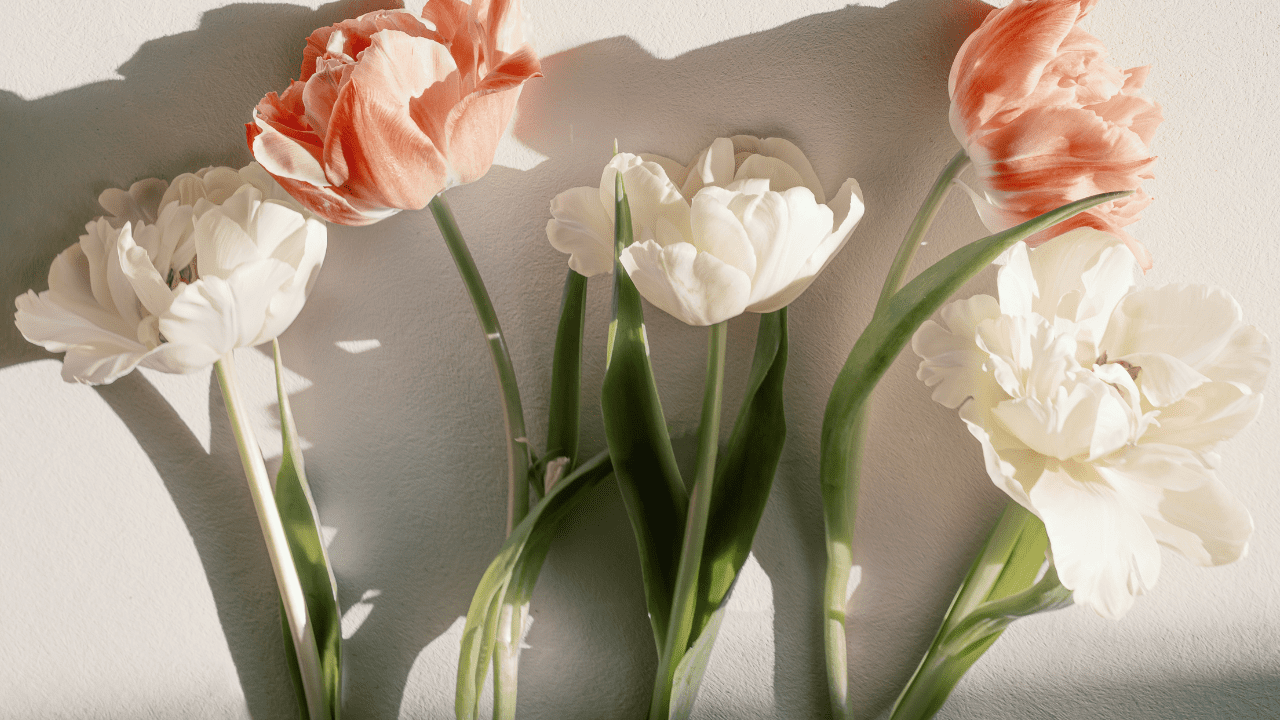 150+ Flower Captions for Instagram: Best Blossom